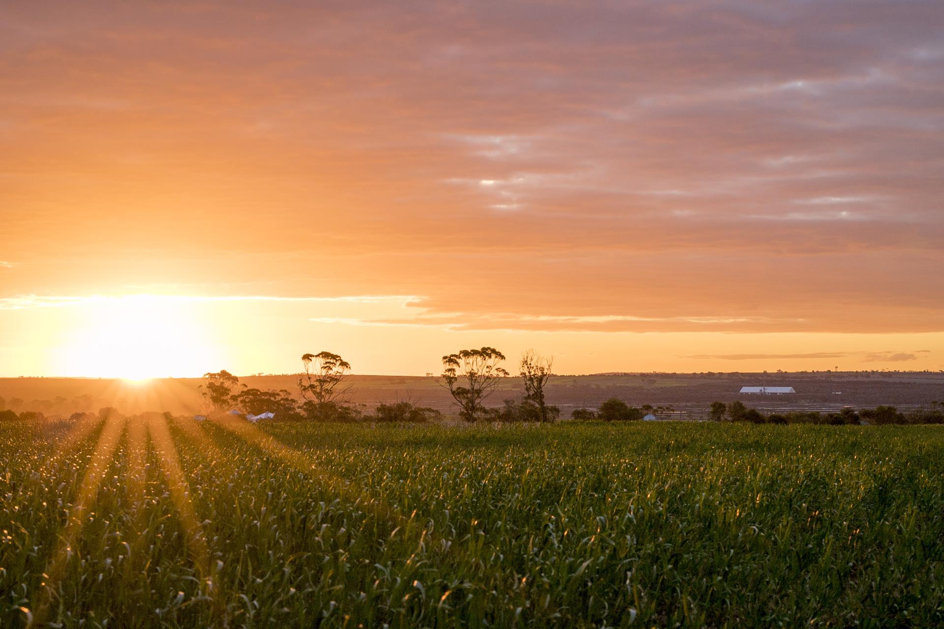Welcome to the Shire of Bruce Rock » Shire of Bruce Rock